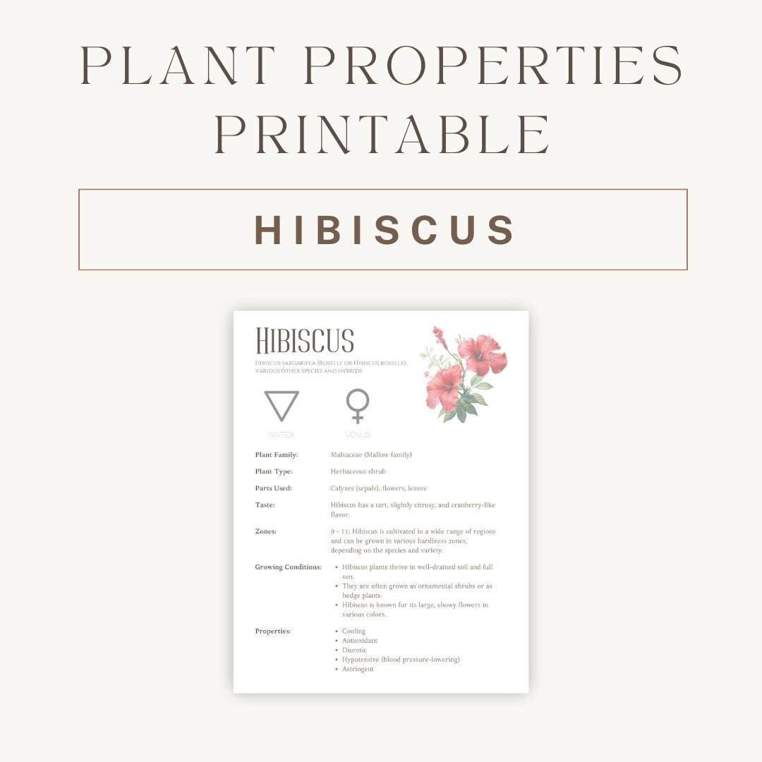 Hibiscus Herbal Printable - Detailed Plant Guide & Uses - Spiritual ...