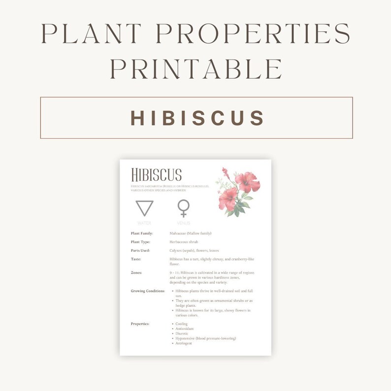 Hibiscus Herbal Printable Detailed Plant Guide & Uses Spiritual Healing ...