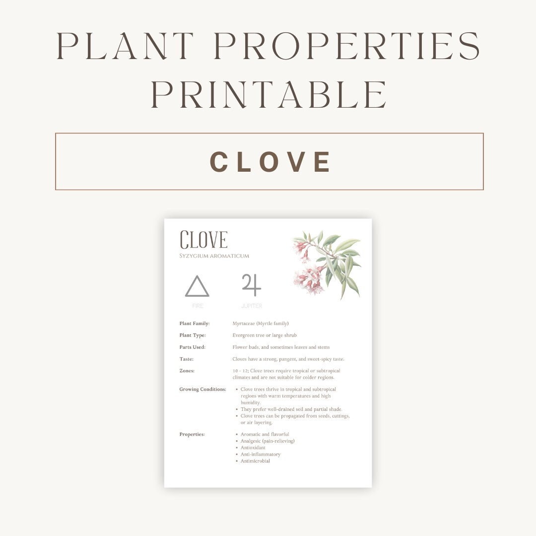 Clove Herbal Printable - Detailed Plant Guide & Uses - Spiritual ...
