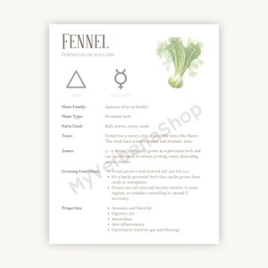 Fennel Herbal Printable - Detailed Plant Guide & Uses - Spiritual ...