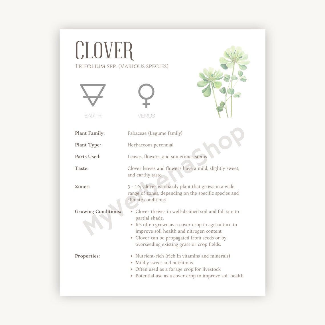 Clover Herbal Printable - Detailed Plant Guide & Uses - Spiritual ...