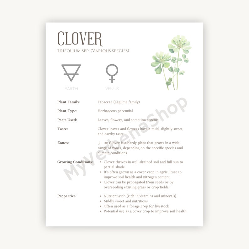 Clover Herbal Printable - Detailed Plant Guide & Uses - Spiritual ...