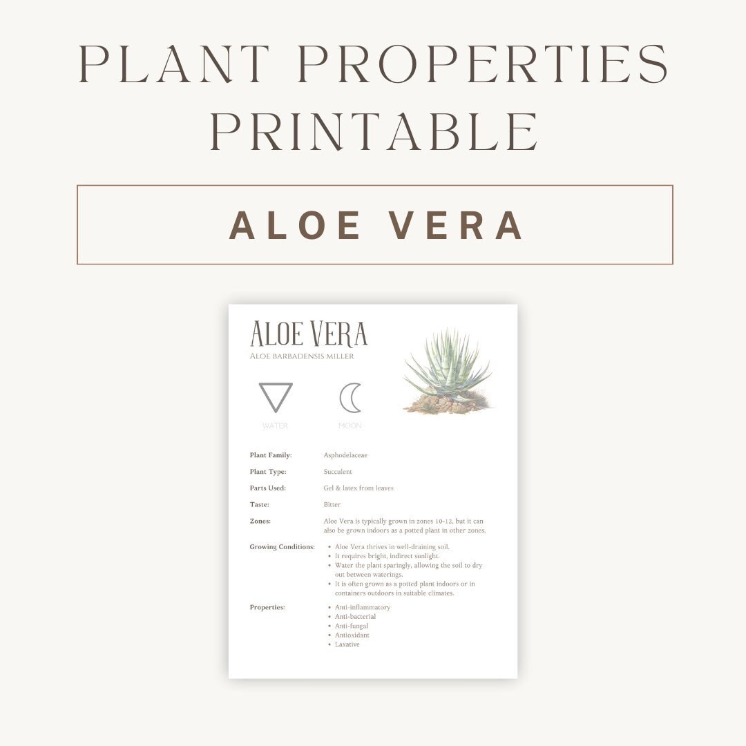 Aloe Vera Herbal Printable - Detailed Plant Guide & Uses - Spiritual ...