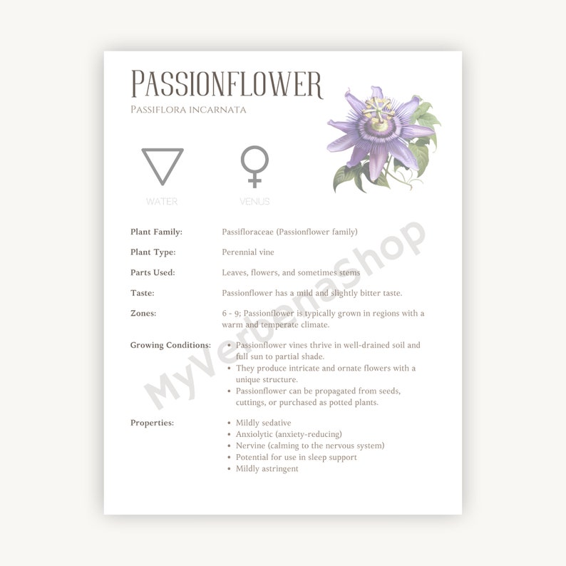 Passionflower Herbal Printable - Detailed Plant Guide & Uses - Spiritual Healing Properties ...