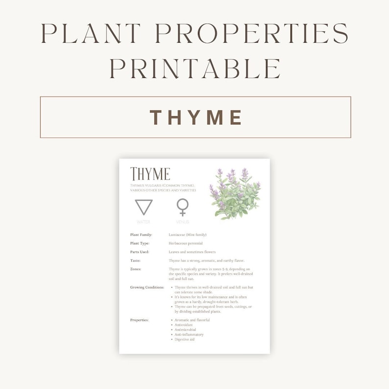 Thyme Herbal Printable - Detailed Plant Guide & Uses - Spiritual ...