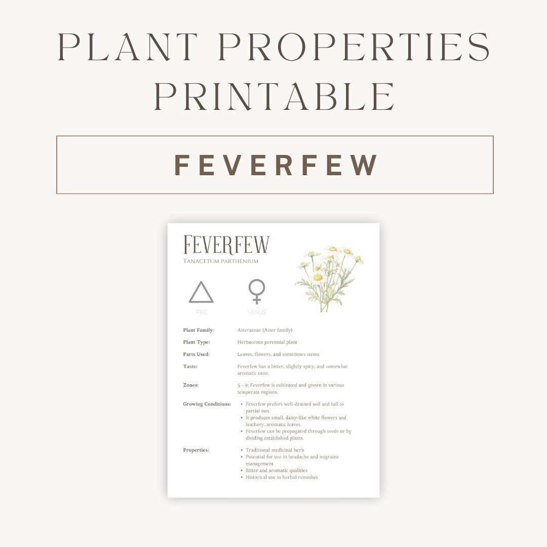 Feverfew Herbal Printable - Detailed Plant Guide & Uses - Spiritual ...