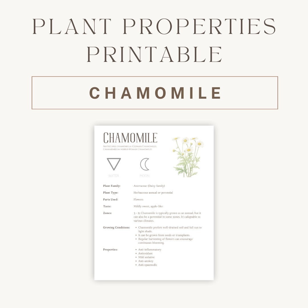 Chamomile Herbal Printable - Detailed Plant Guide & Uses - Spiritual ...
