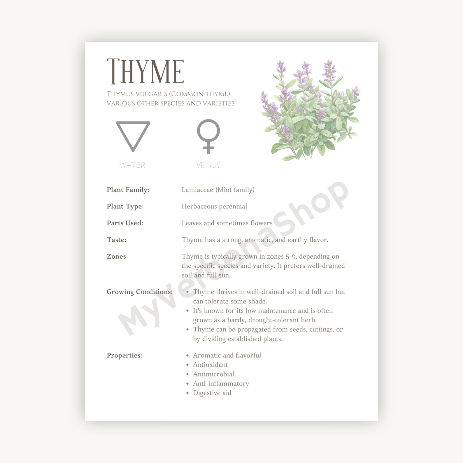 Thyme Herbal Printable - Detailed Plant Guide & Uses - Spiritual ...
