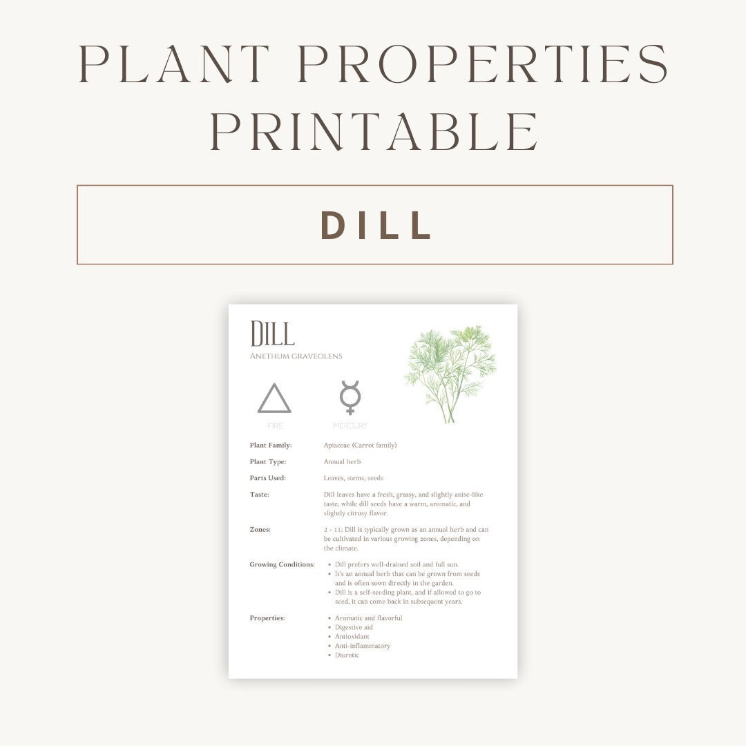 Dill Herbal Printable - Detailed Plant Guide & Uses - Spiritual Healing ...