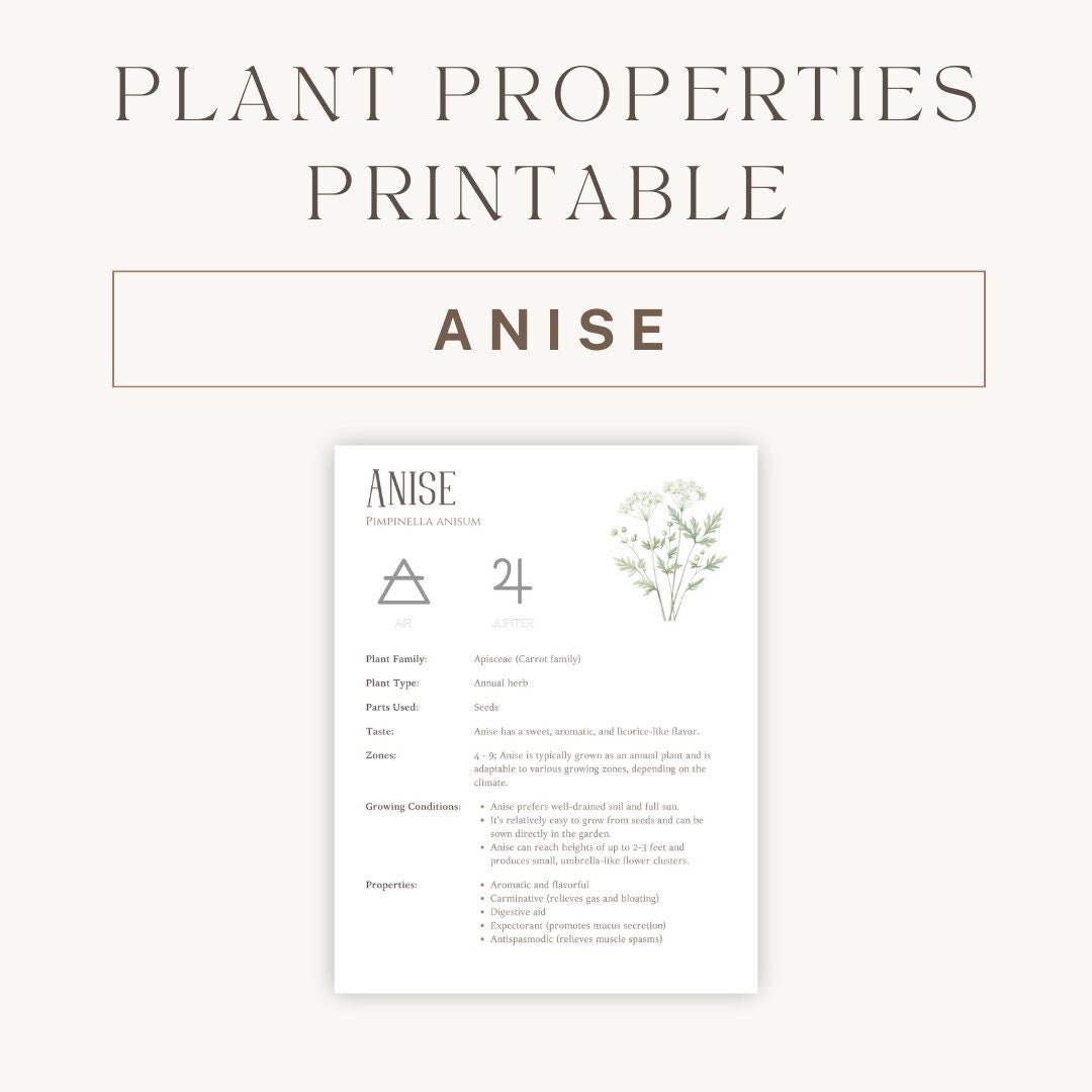 Anise Herbal Printable - Detailed Plant Guide & Uses - Spiritual ...