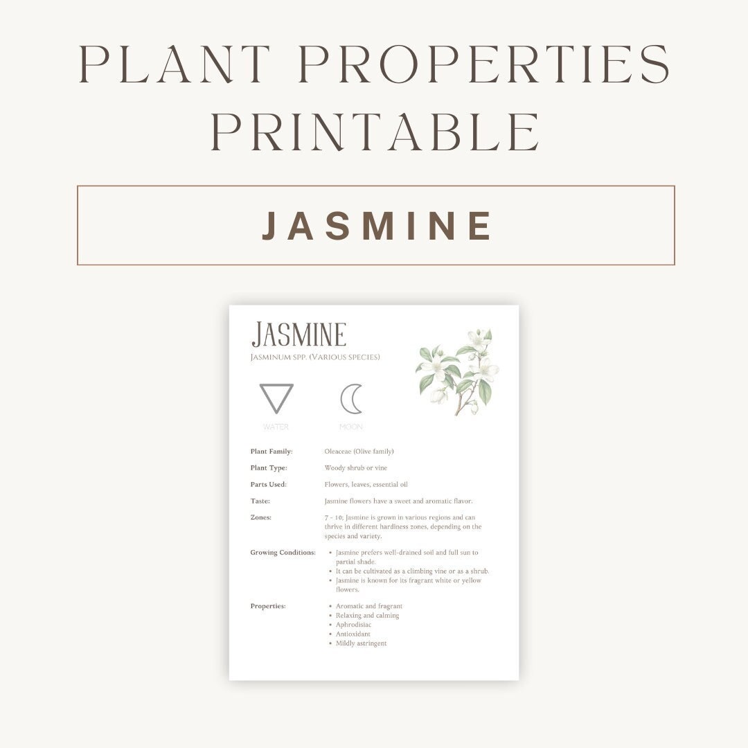 Jasmine Herbal Printable - Detailed Plant Guide & Uses - Spiritual ...