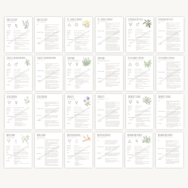 Complete Herbal Reference Set 74 Printable Herb Guides for Natural ...