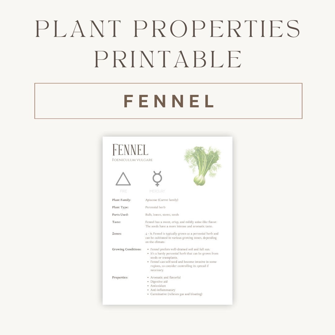 Fennel Herbal Printable - Detailed Plant Guide & Uses - Spiritual Healing Properties Chart ...