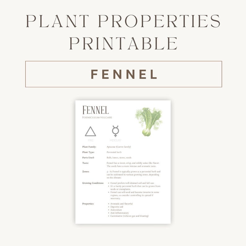 Fennel Herbal Printable - Detailed Plant Guide & Uses - Spiritual ...