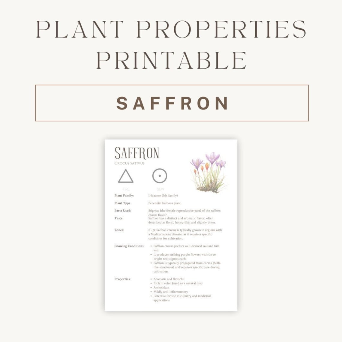 Saffron Herbal Printable - Detailed Plant Guide & Uses - Spiritual ...
