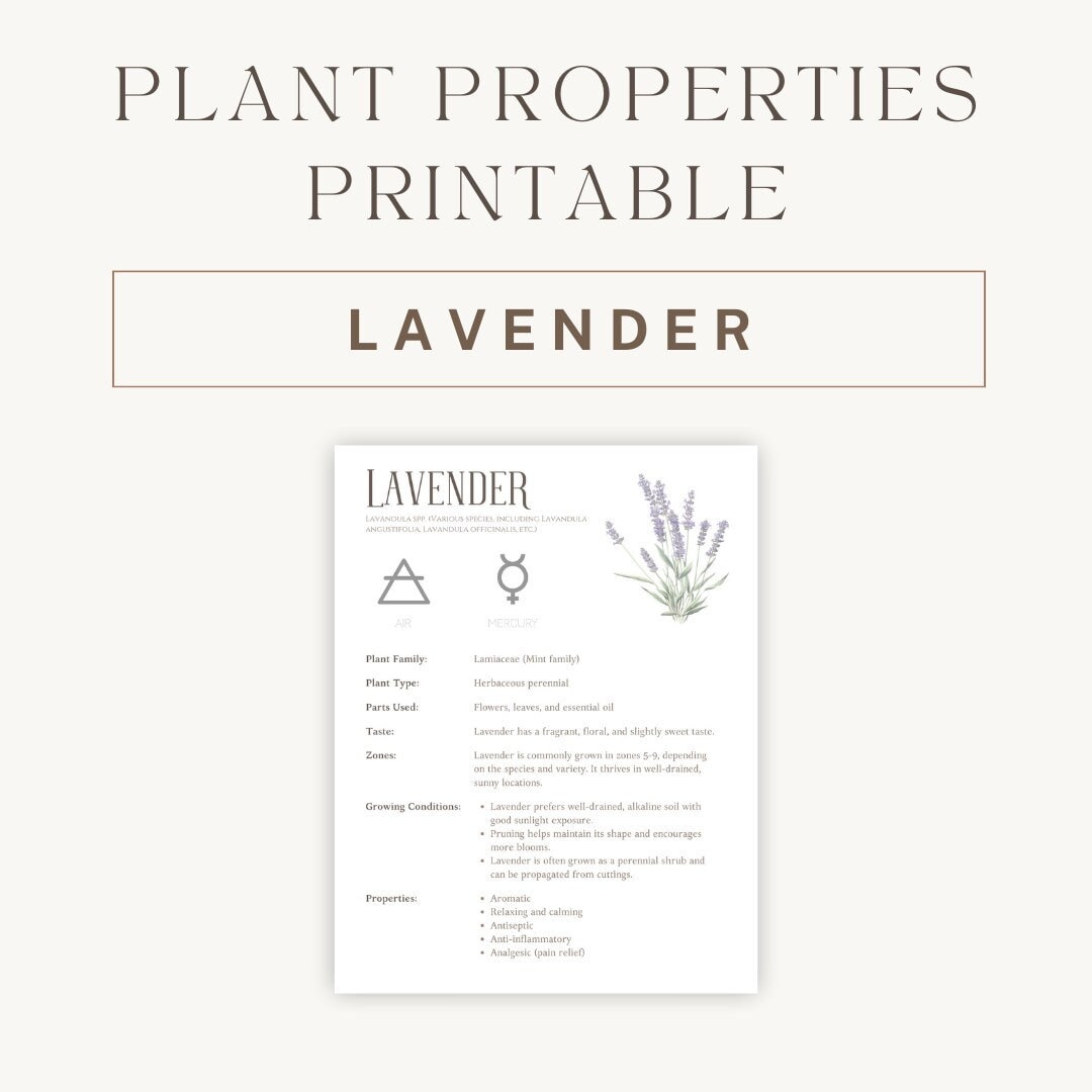 Lavender Herbal Printable - Detailed Plant Guide & Uses - Spiritual ...