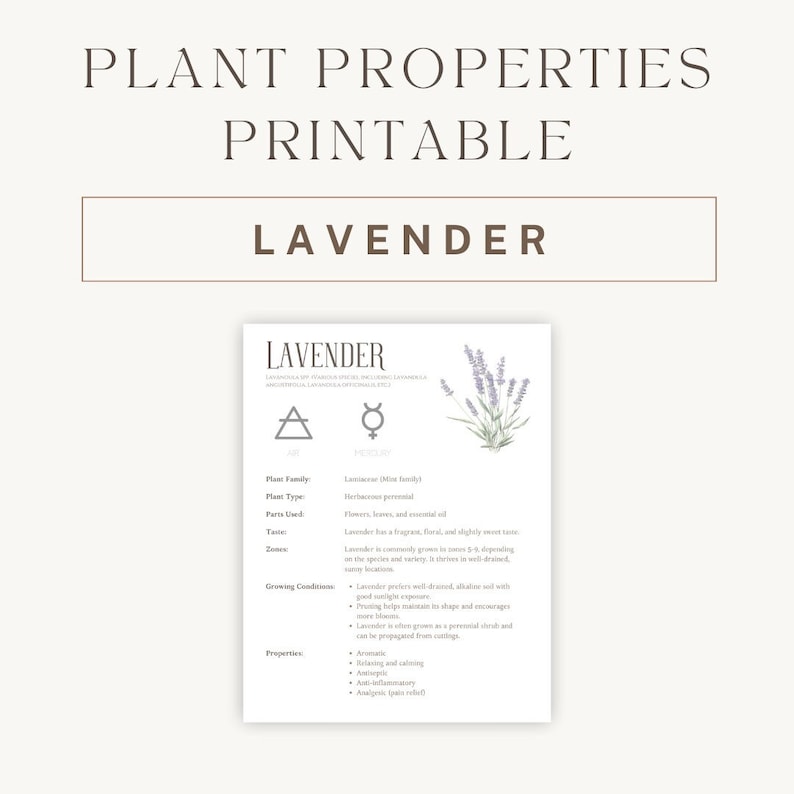 Lavender Herbal Printable - Detailed Plant Guide & Uses - Spiritual ...