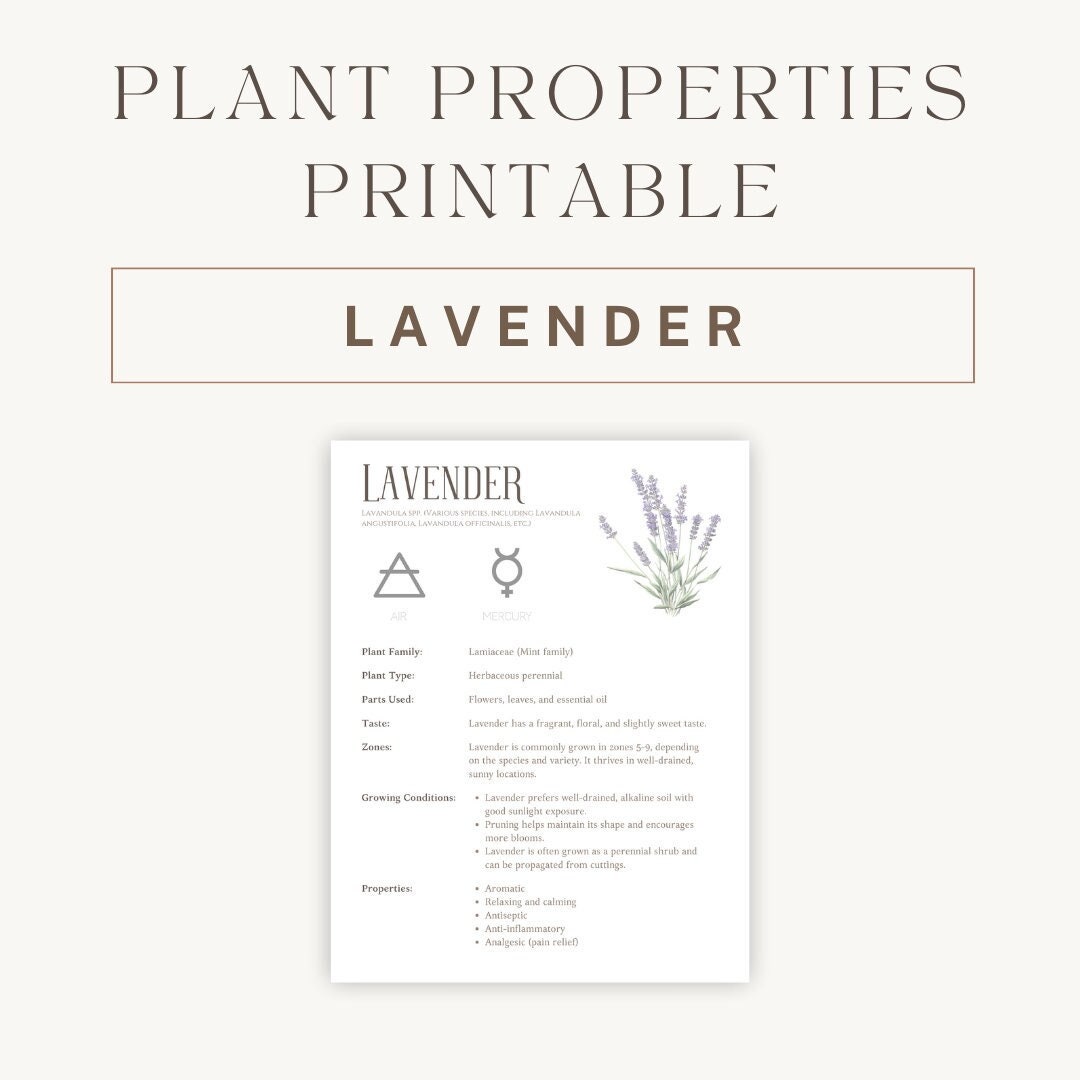 Lavender Herbal Printable Detailed Plant Guide & Uses Spiritual Healing ...