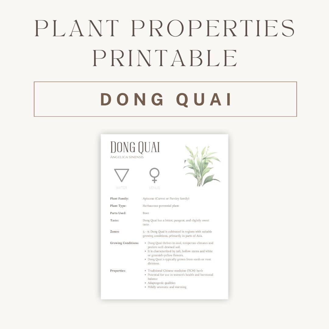 Dong Quai Herbal Printable - Detailed Plant Guide & Uses - Spiritual ...
