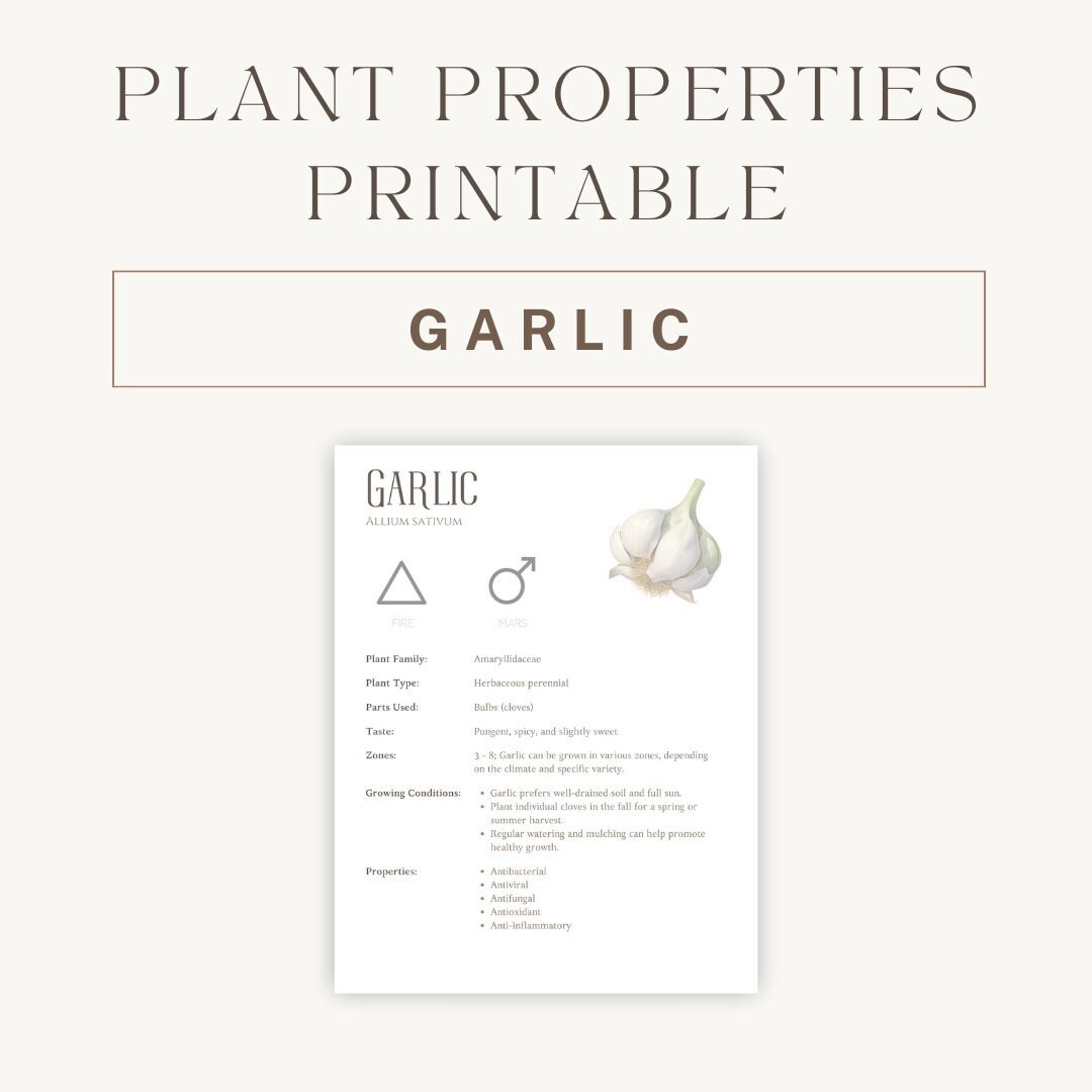 Garlic Herbal Printable - Detailed Plant Guide & Uses - Spiritual ...