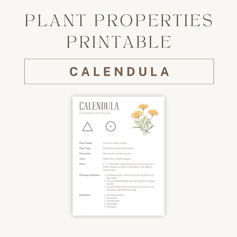 Calendula Herbal Printable - Detailed Plant Guide & Uses - Spiritual ...