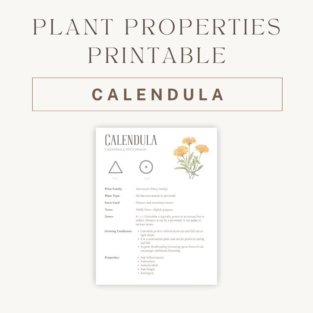Calendula Herbal Printable - Detailed Plant Guide & Uses - Spiritual ...