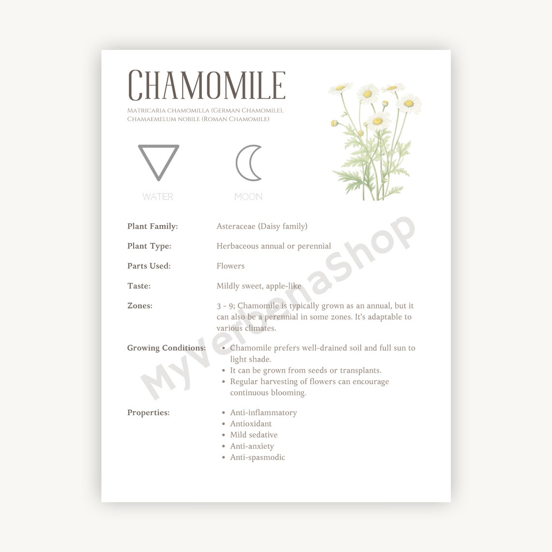 Chamomile Herbal Printable Detailed Plant Guide & Uses Spiritual ...