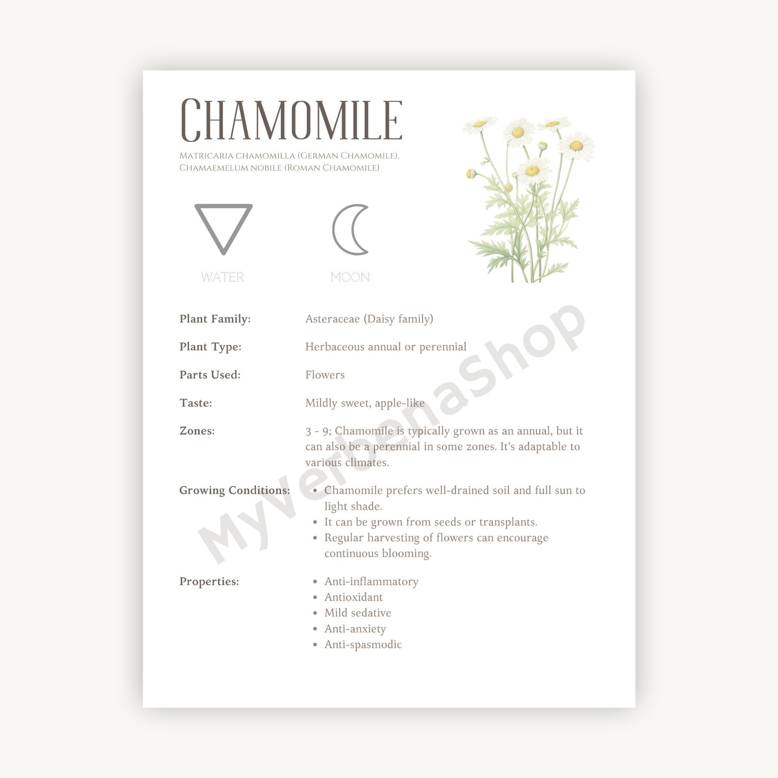 Chamomile Herbal Printable - Detailed Plant Guide & Uses - Spiritual ...