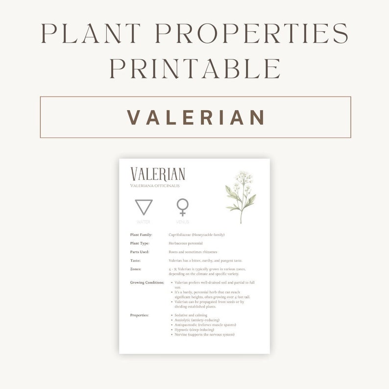 Valerian Herbal Printable - Detailed Plant Guide & Uses - Spiritual ...