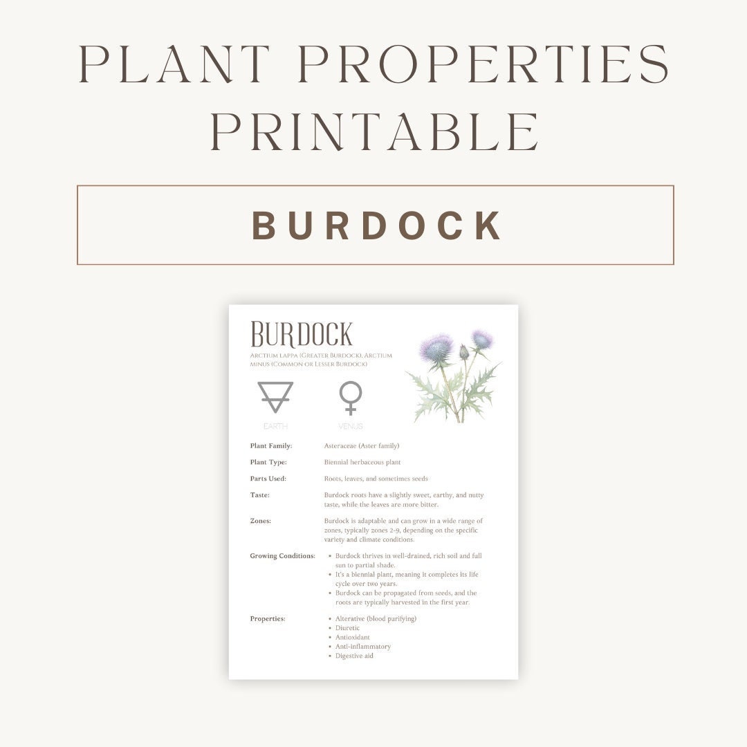 Burdock Herbal Printable - Detailed Plant Guide & Uses - Spiritual ...