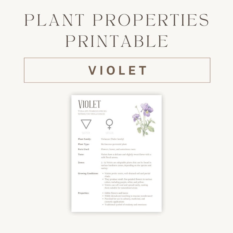 Violet Herbal Printable - Detailed Plant Guide & Uses - Spiritual ...