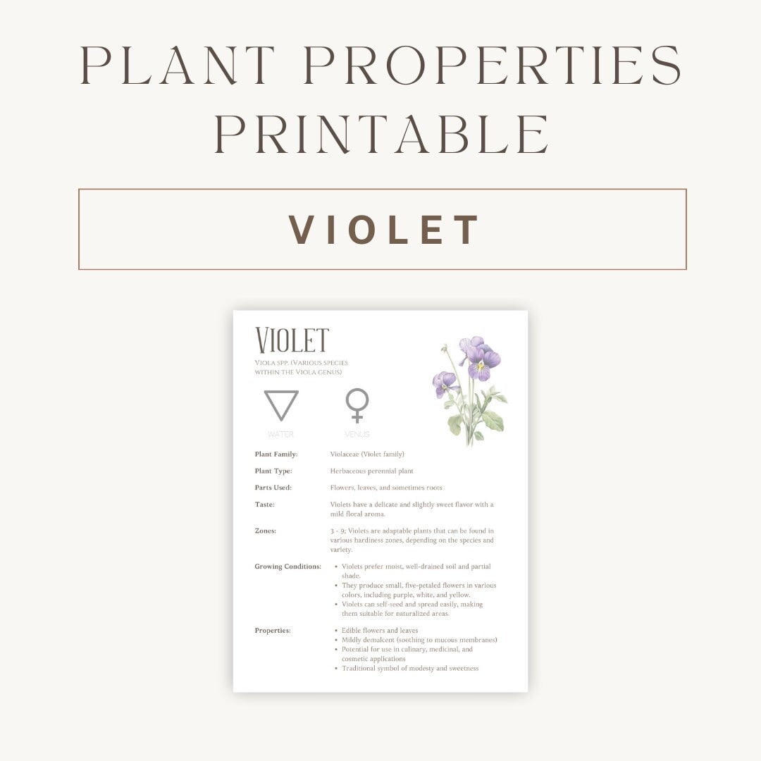 Violet Herbal Printable - Detailed Plant Guide & Uses - Spiritual ...