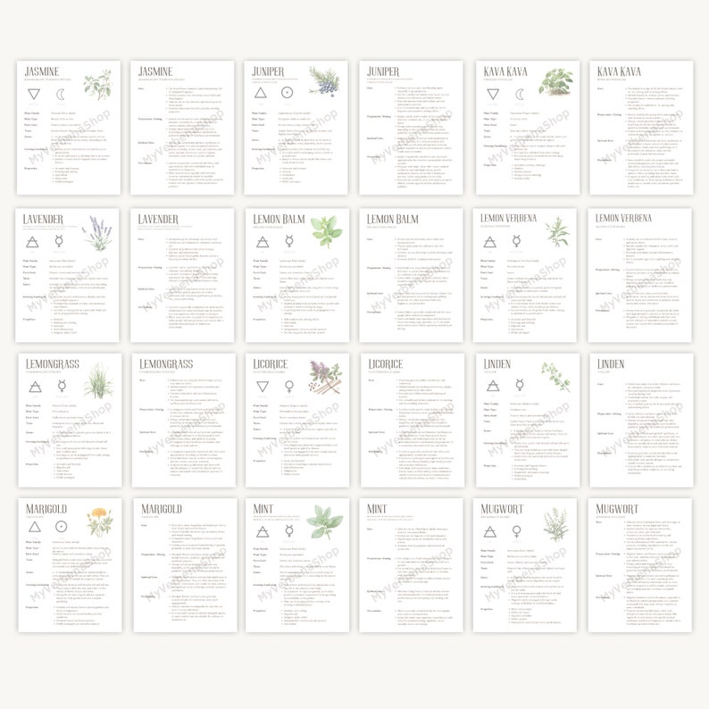 Complete Herbal Reference Set 74 Printable Herb Guides for Natural ...