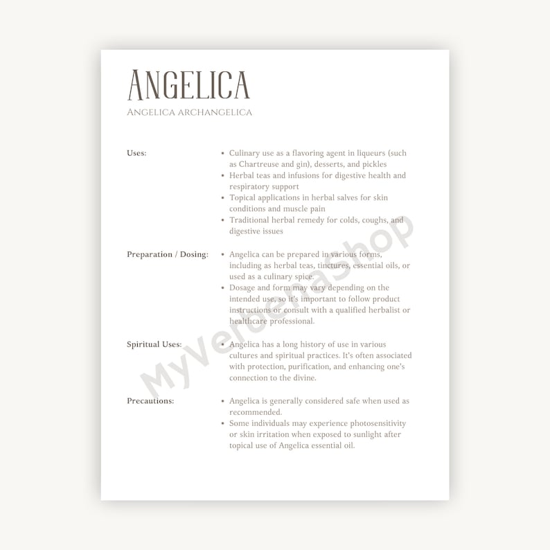 Angelica Herbal Printable - Detailed Plant Guide & Uses - Spiritual ...
