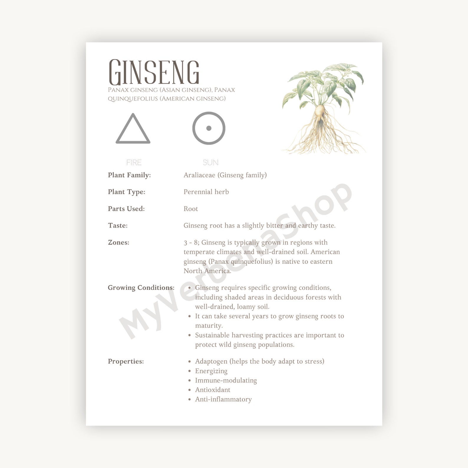 Ginseng Herbal Printable Detailed Plant Guide & Uses Spiritual Healing Properties Chart ...