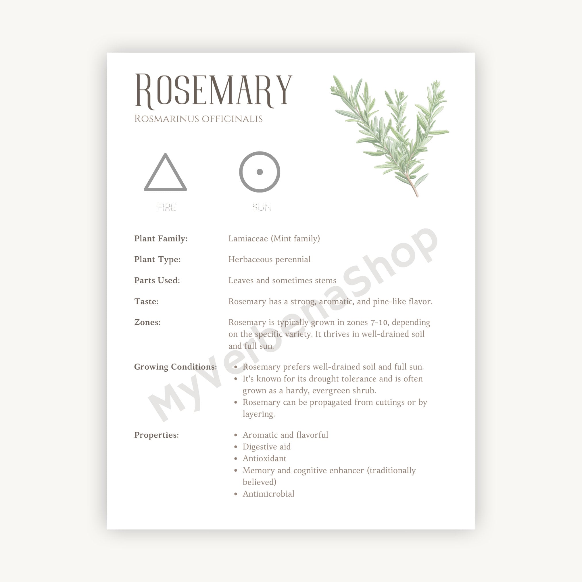 Rosemary Herbal Printable - Detailed Plant Guide & Uses - Spiritual ...