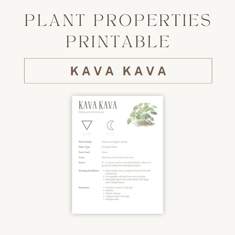 Kava Kava Herbal Printable Detailed Plant Guide & Uses Spiritual ...