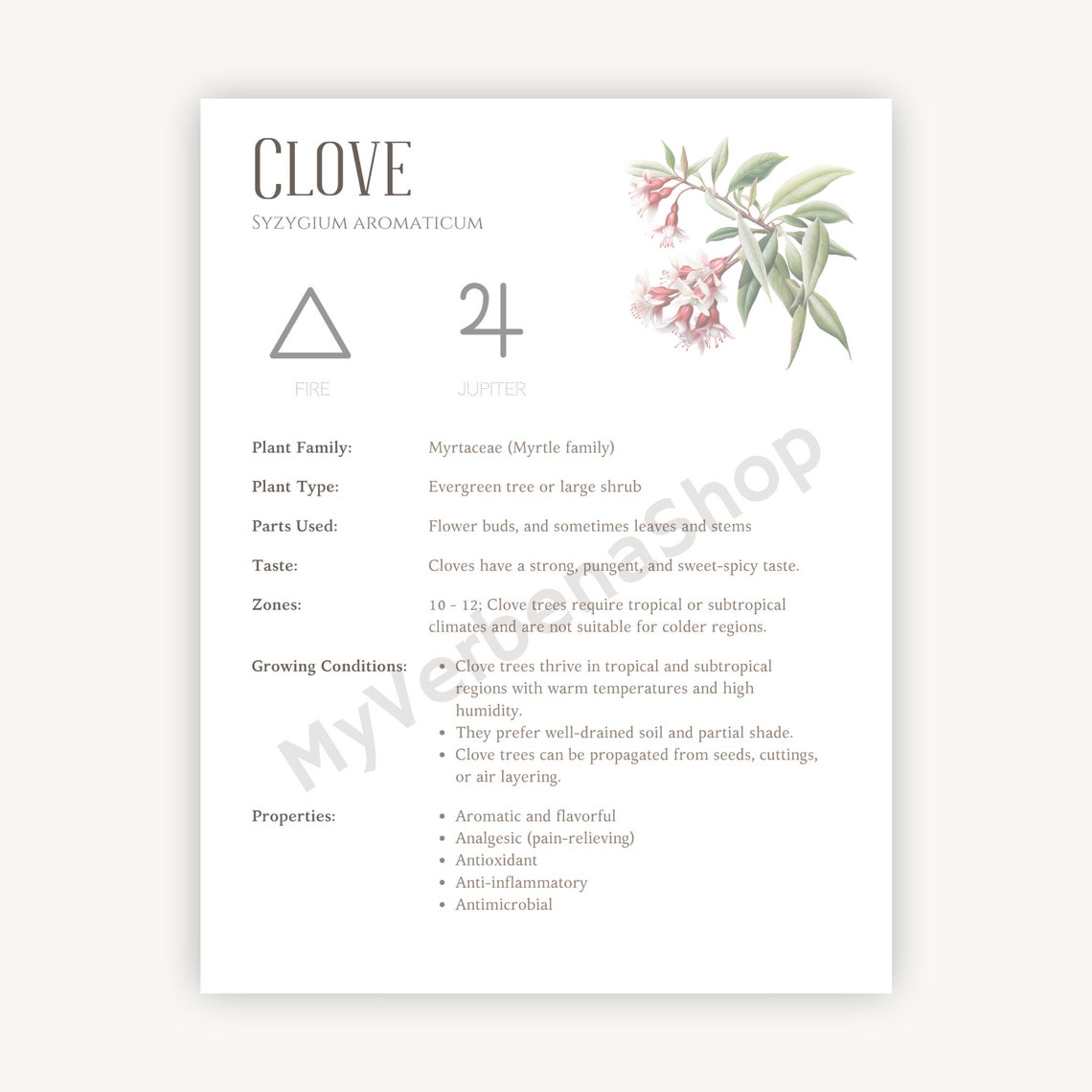 Clove Herbal Printable - Detailed Plant Guide & Uses - Spiritual ...