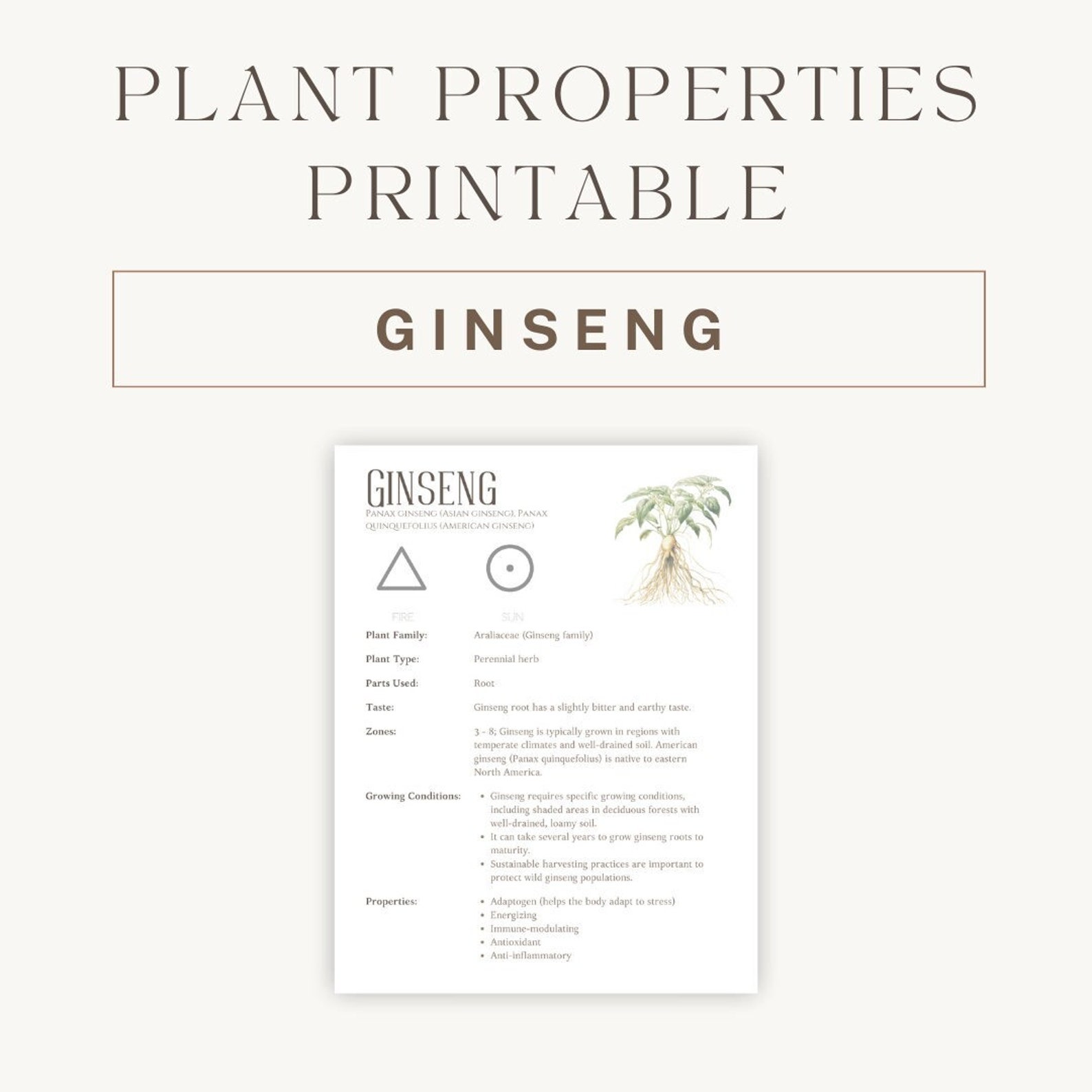 Ginseng Herbal Printable - Detailed Plant Guide & Uses - Spiritual ...