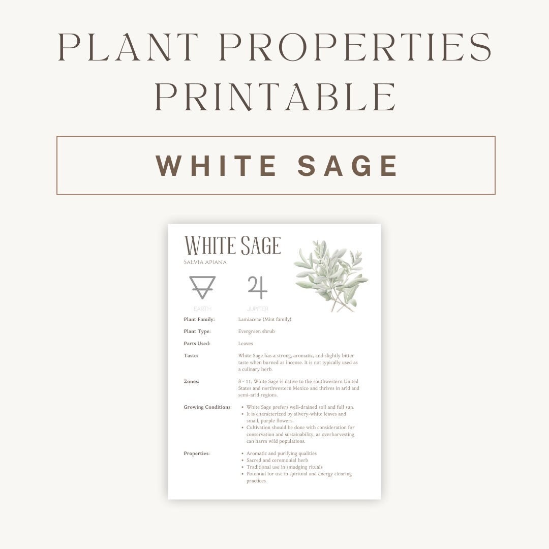 White Sage Herbal Printable - Detailed Plant Guide & Uses - Spiritual ...