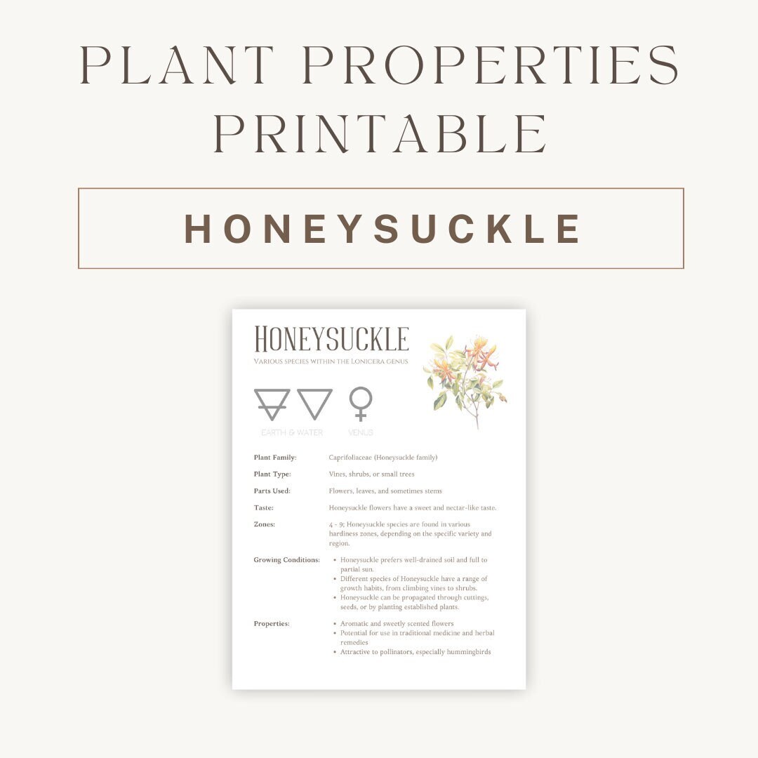 Honeysuckle Herbal Printable - Detailed Plant Guide & Uses - Spiritual ...