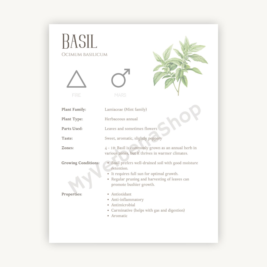 Basil Herbal Printable - Detailed Plant Guide & Uses - Spiritual Healing Properties Chart ...