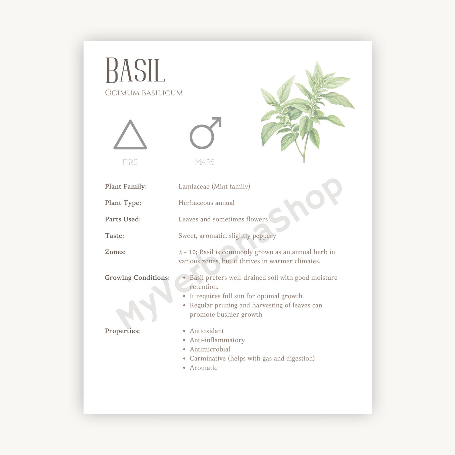 Basil Herbal Printable - Detailed Plant Guide & Uses - Spiritual ...