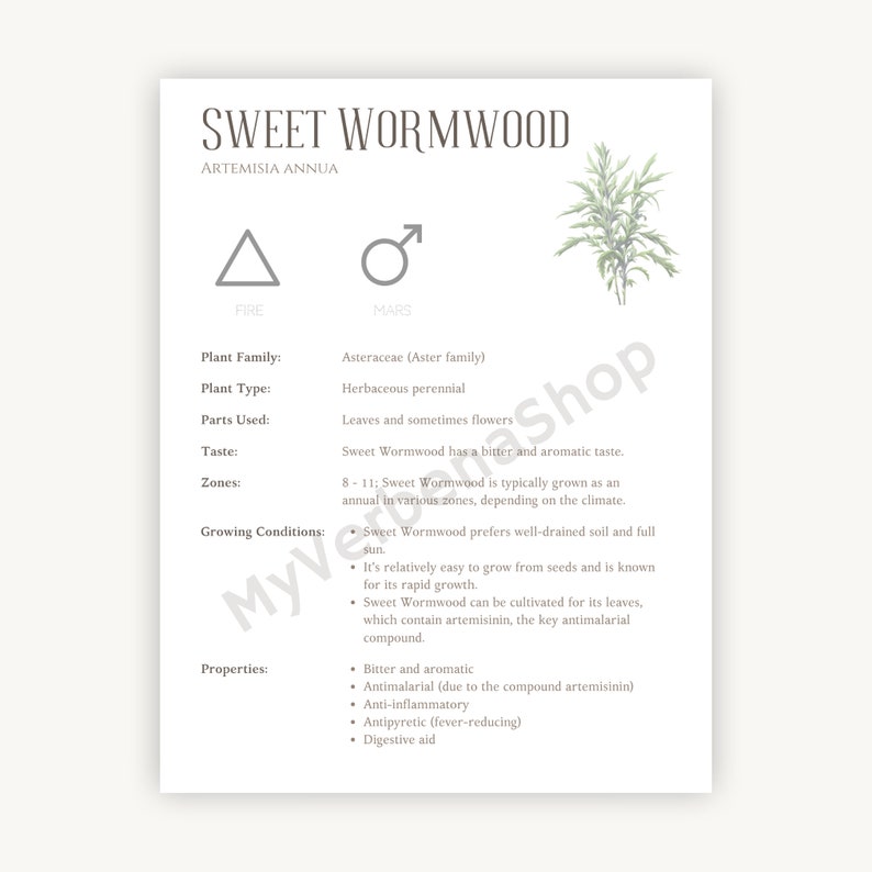 Sweet Wormwood Herbal Printable Detailed Plant Guide & Uses Spiritual ...