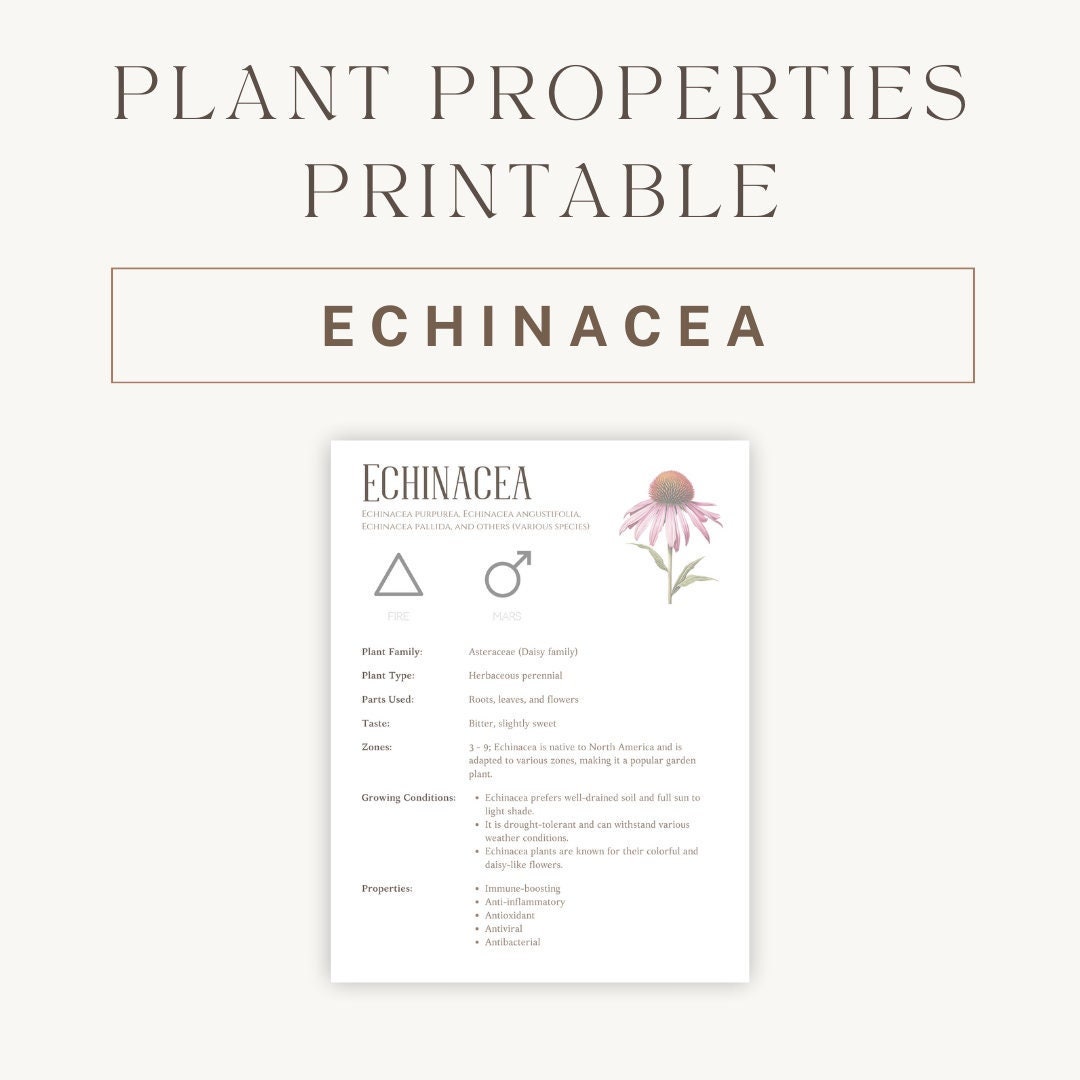 Echinacea Herbal Printable - Detailed Plant Guide & Uses - Spiritual ...