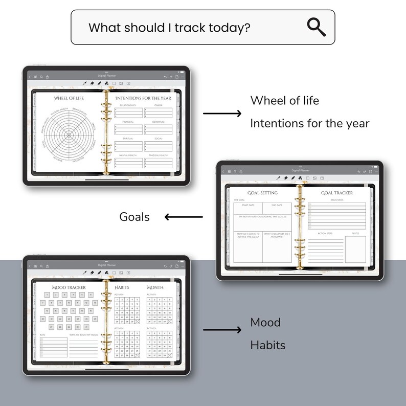 Classic Obsidian Digital Planner BUNDLE - Etsy