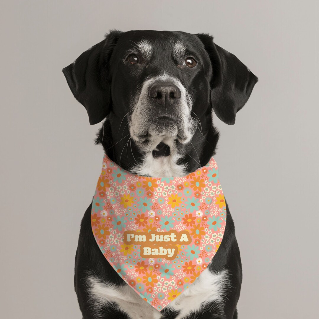 Floral Boho Dog Bandana I'm Just a Baby Bandana Retro Style Puppy ...