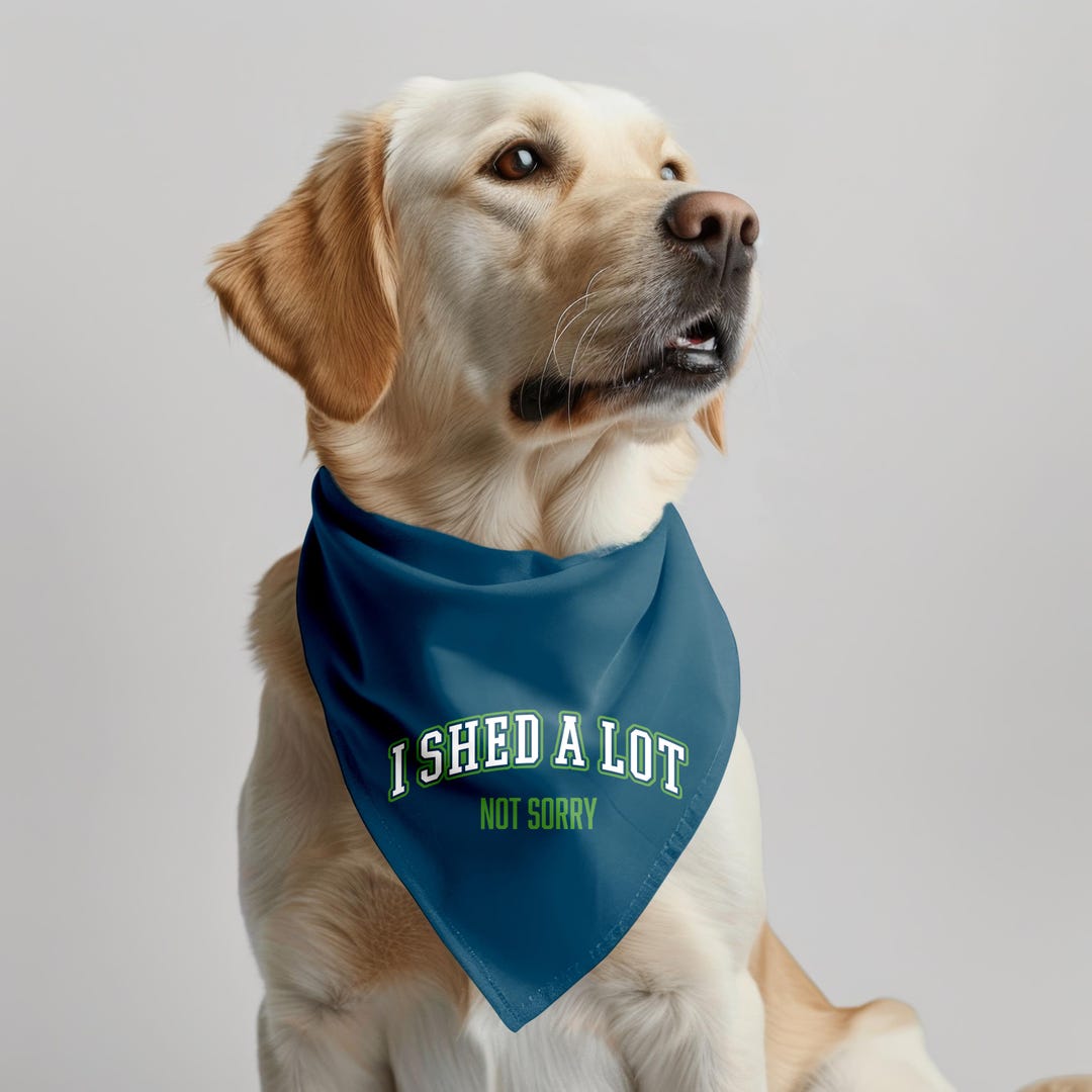Golden Retriever Dog Bandana, Sheds A Lot Funny Dog Bandanas, Sassy Dog ...