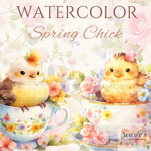 10 Spring Watercolor Baby Chicks in Teacups Clipart Bundle, Spring ...