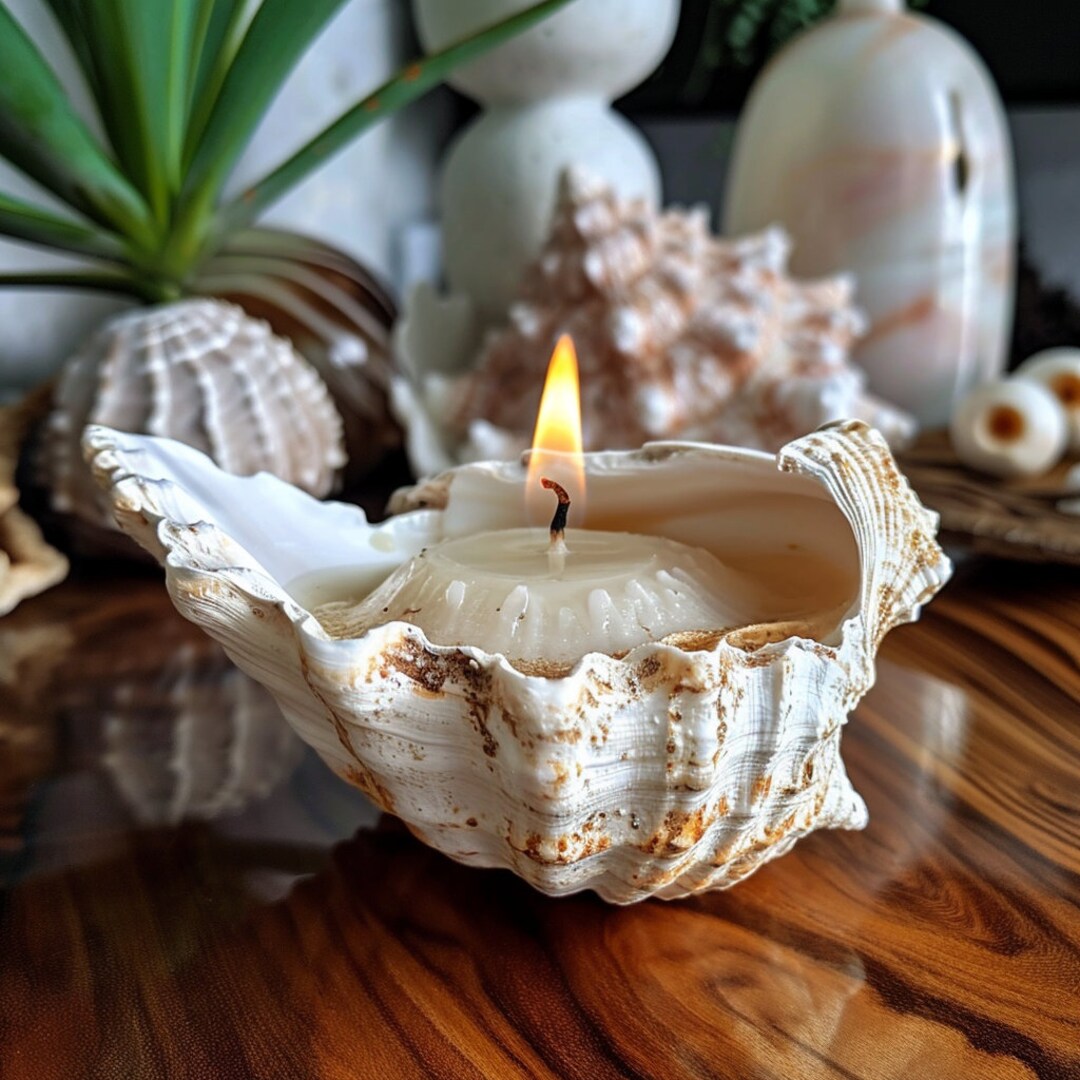 Handmade Seashell Candle Holders - Etsy